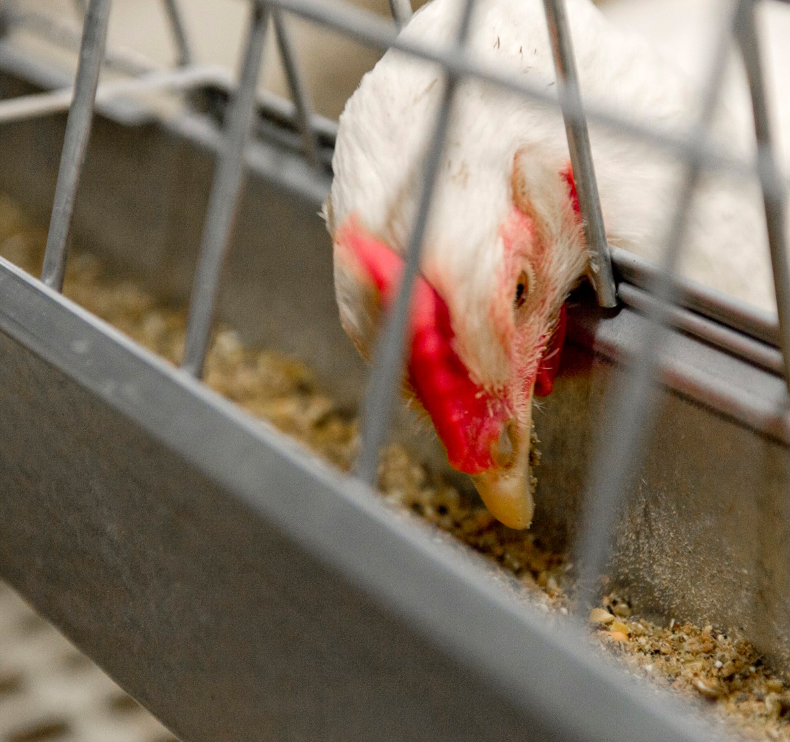 Vencotrough - Vencomatic Group